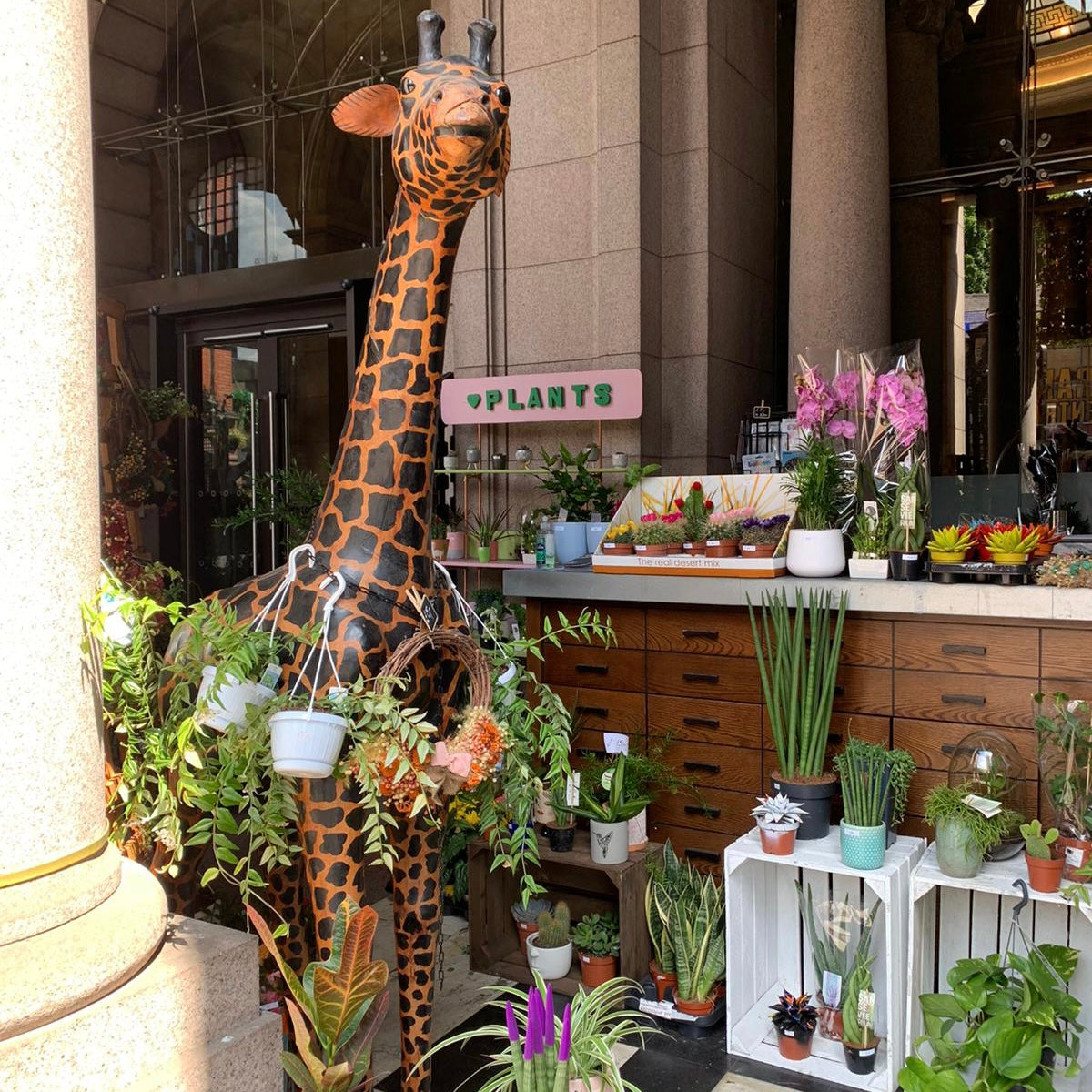 2021 Highlights | Blog | Giraffe Flowers